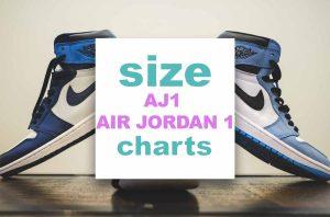 Air Jordan 1 Size Guide : Are Jordan 1s True to Size?