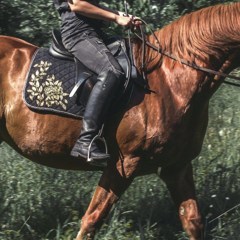 Horse Blanket Size Chart and Fitting Guide to keep your horse dry & warm