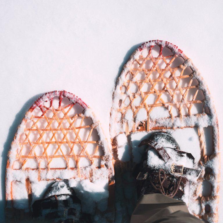 Bogner Size Chart: Fire+Ice Sizes for men, women & kids