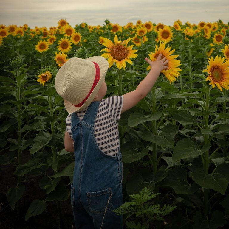 Graduation Cap Size Chart and Dimensions - Size-Charts.com - When size ...