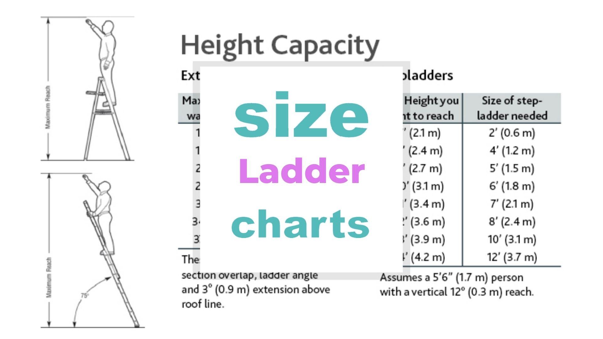 Step Ladder Chart At Irish Lin Blog