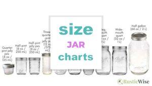 Jar Size Guide: How to Choose the Right Size? - Size-Charts.com - When ...