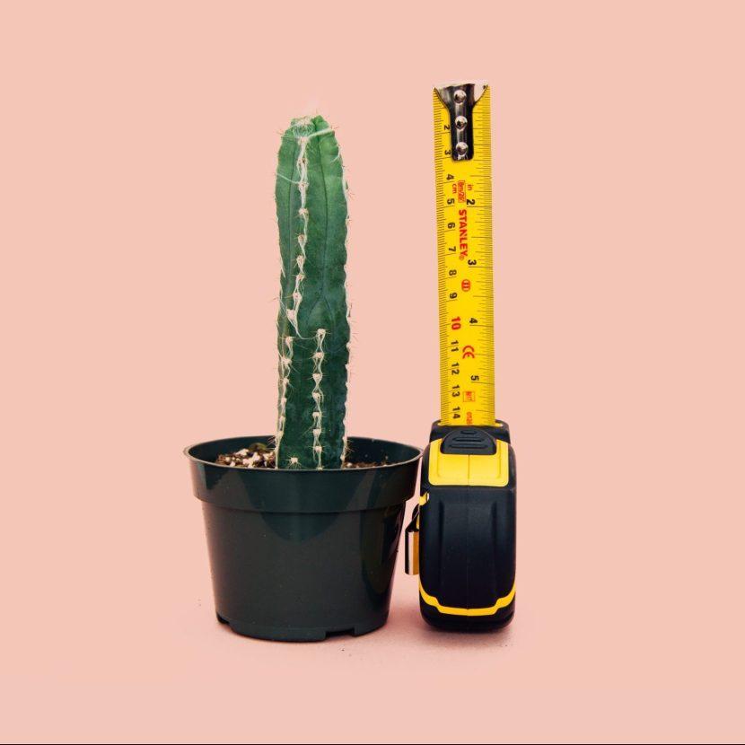 Girth Size Chart - Size-Charts.com - When size matters