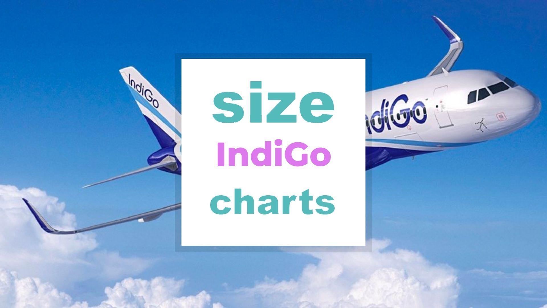 IndiGo Airline Sizes: Luggage, Seats... - Size-Charts.com - When size ...