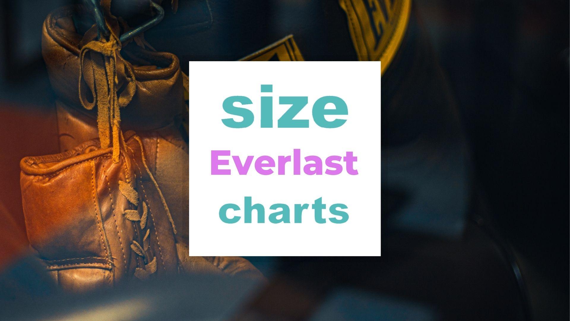 Everlast Size Chart and Fitting Guide for All Your Boxing Gear
