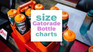 Gatorade Bottle Sizes Explained by Type and Flavor