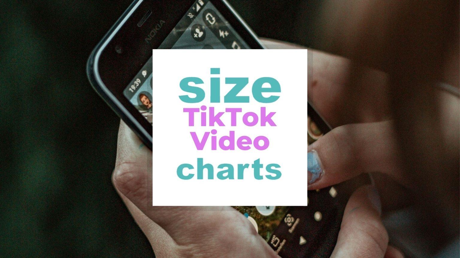TikTok Video Size: All You Need to Know - Size-Charts.com - When size ...