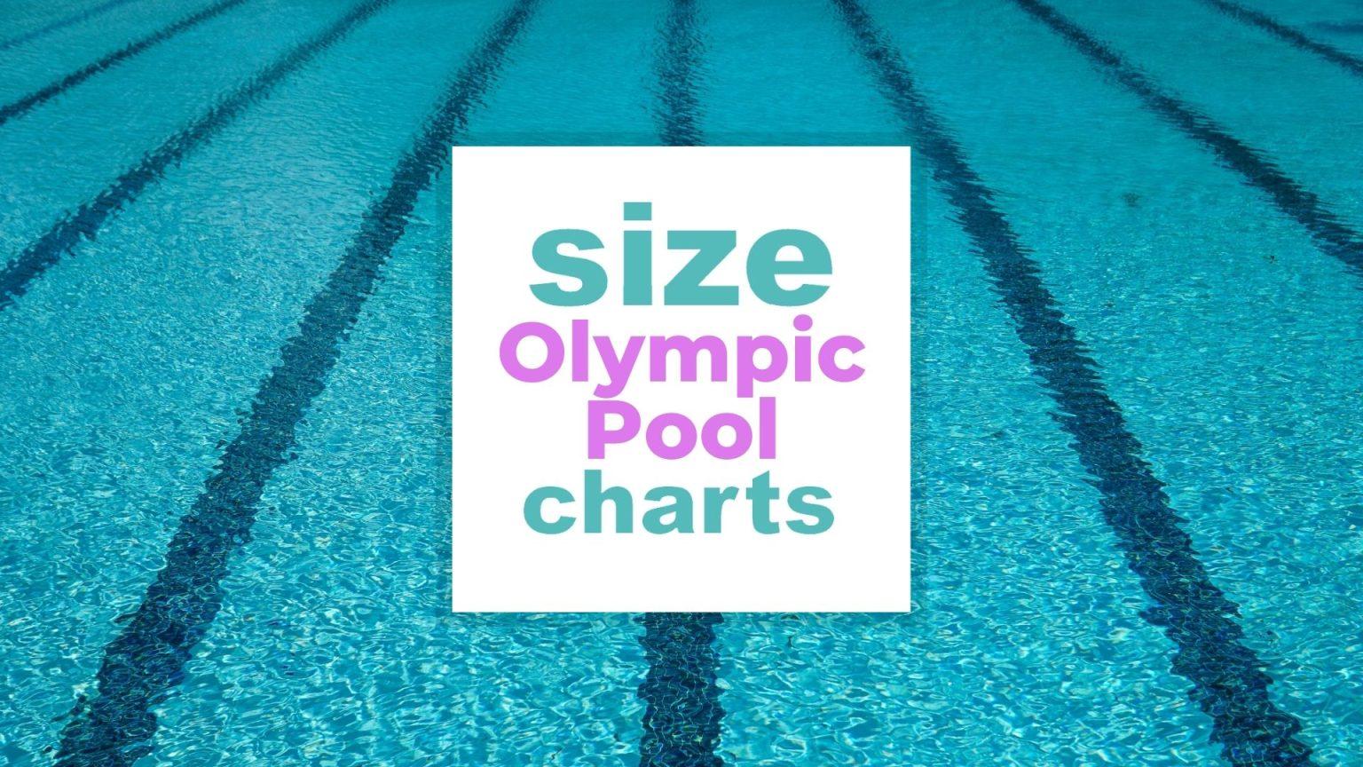 Olympic Pool Size and Dimensions Explained - Size-Charts.com - When ...