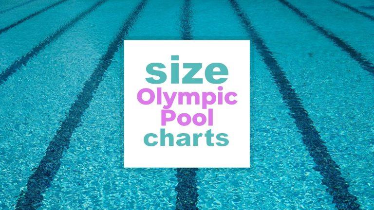 Olympic Pool Size and Dimensions Explained - Size-Charts.com - When ...