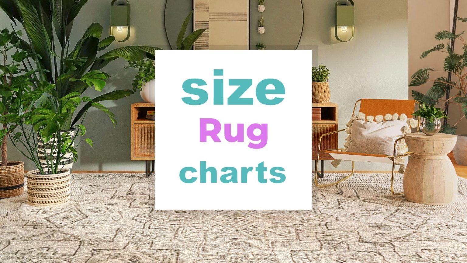Rug Size for Hallways Guide with Easy to Use Size Charts by Type of Rug